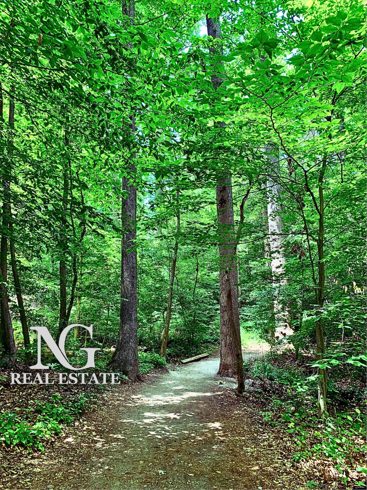 Discovering Tranquility at Burke Lake in Northern Virginia | 4 Reasons ...